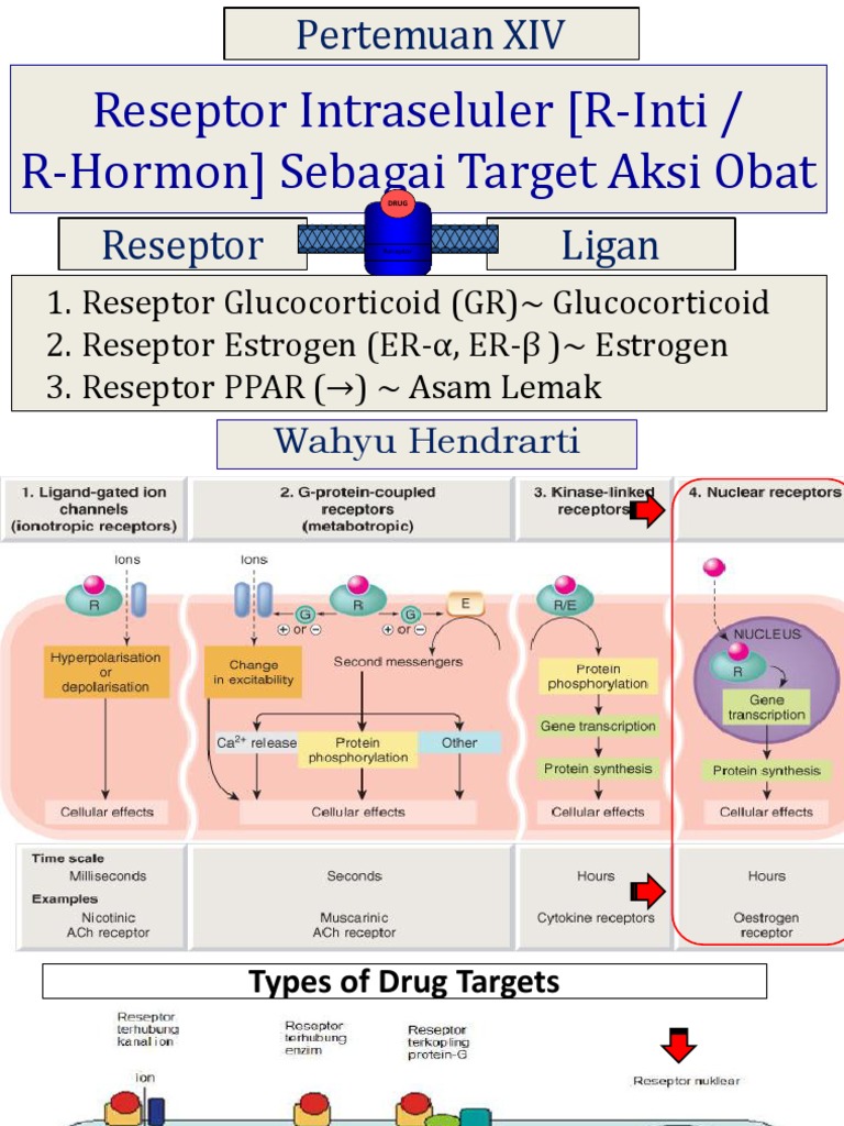 11 Reseptor Intraseluler Ok | PDF
