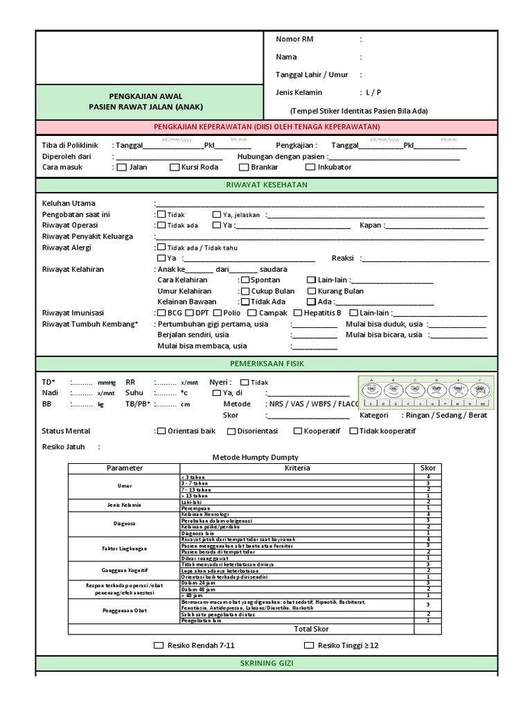 Formulir Asesmen Awal Rajal Anak | PDF
