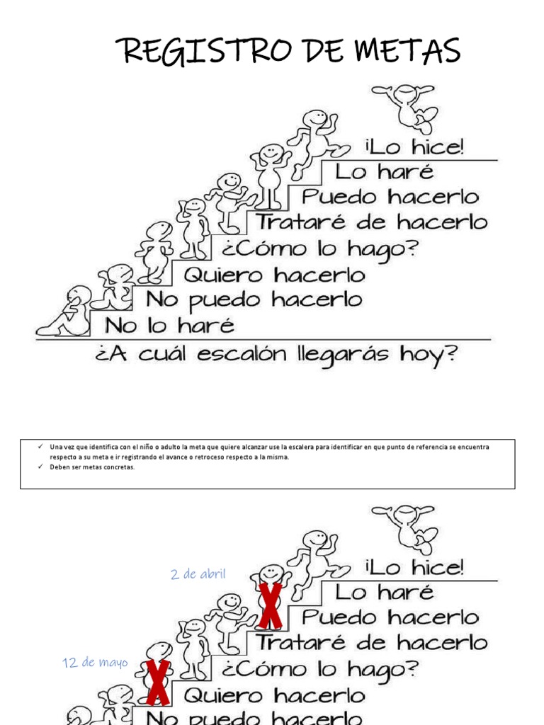 Registro de Metas | PDF