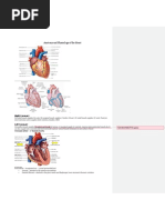 Cardiac Nursing | PDF | Heart Valve | Diastole