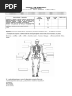 Prueba de Ciencias Sistema Esqueletico y Muscular | PDF | Articulación ...