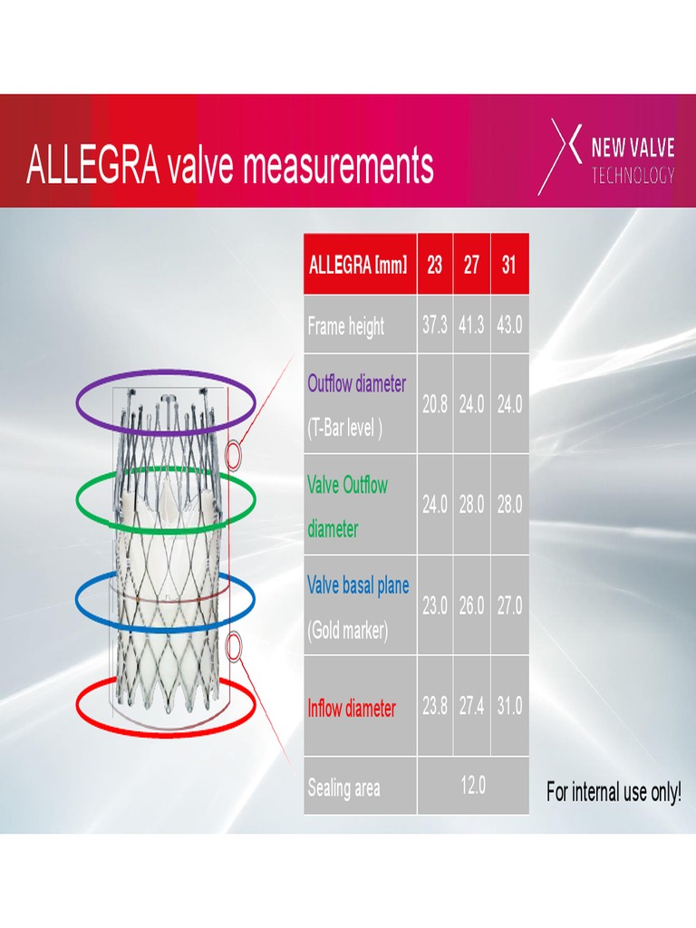 Valve Measurements | PDF