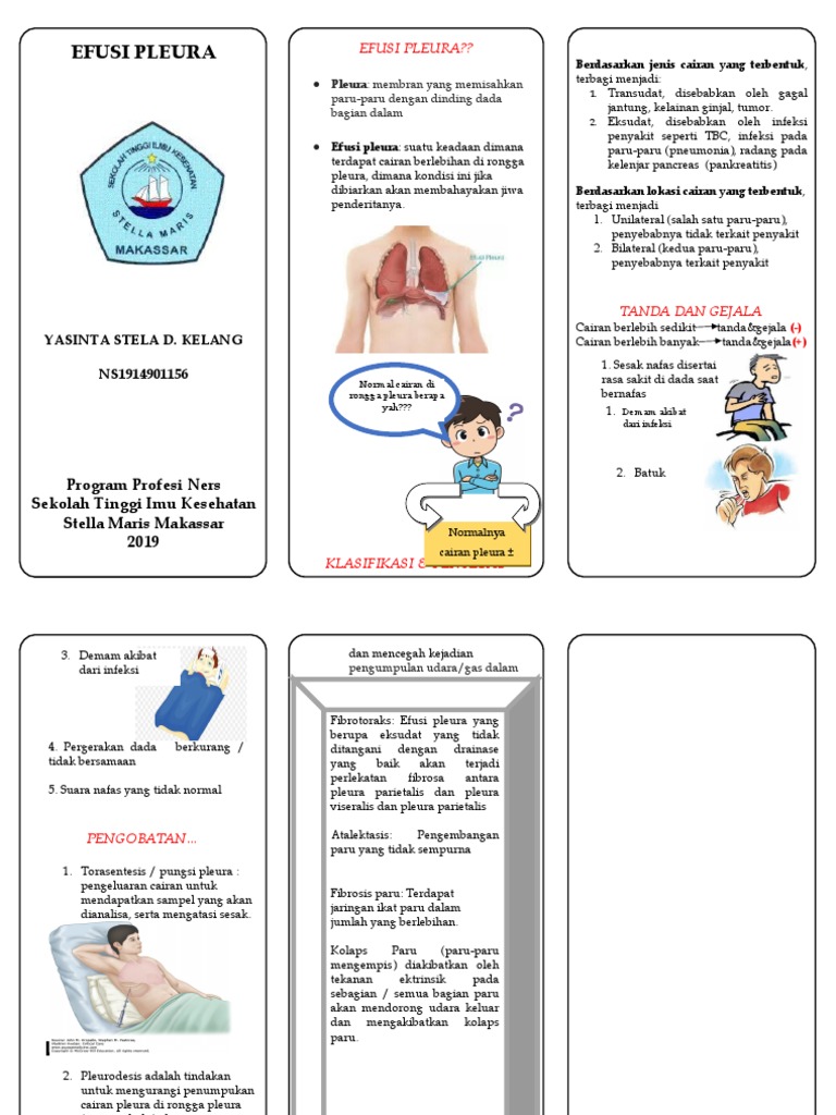 Leaflet Efusi Pleura | PDF