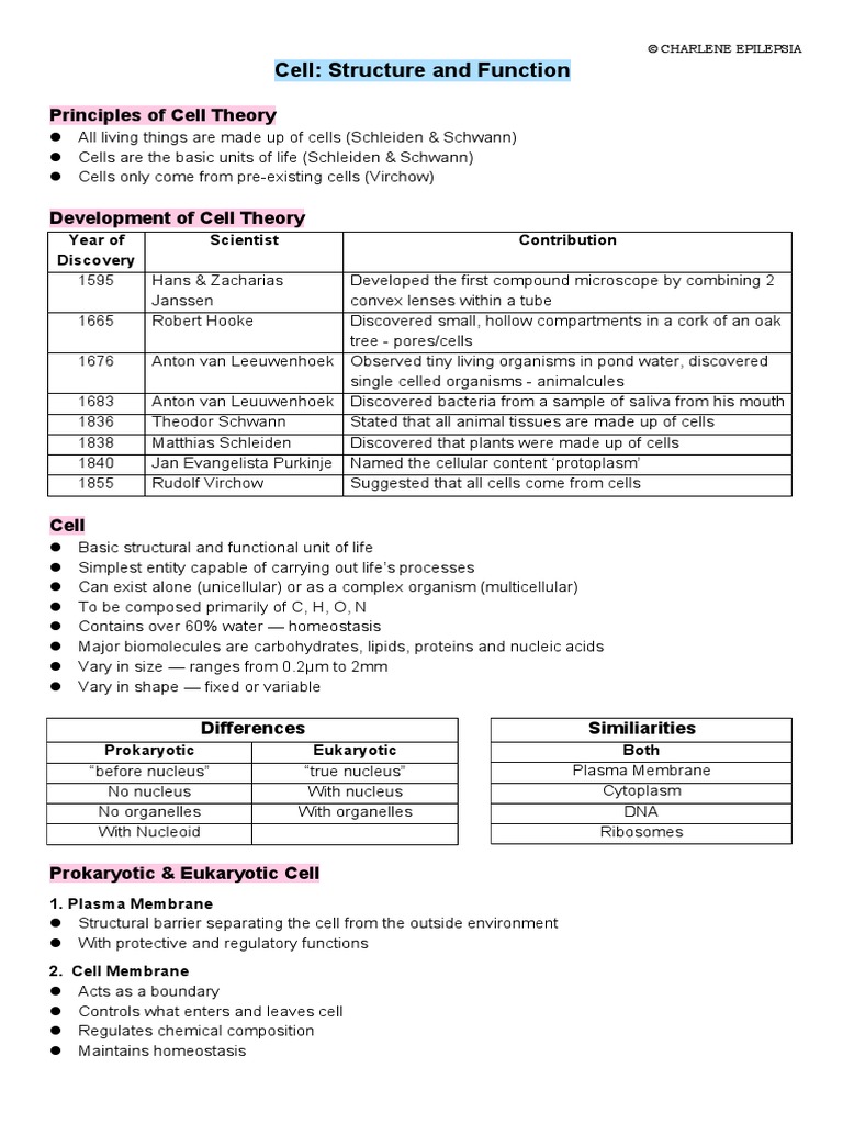 #1 Cell Structure and Function | PDF | Cell Nucleus | Cell (Biology)