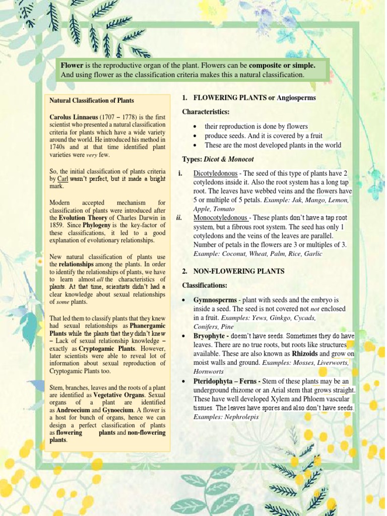 Flowering and Non-Flowering Plants | PDF | Plants | Plant Stem