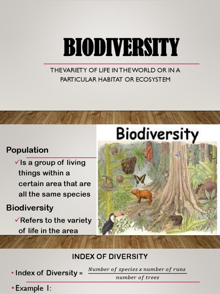 Biodiversity: The Variety of Life in The World or in A Particular ...