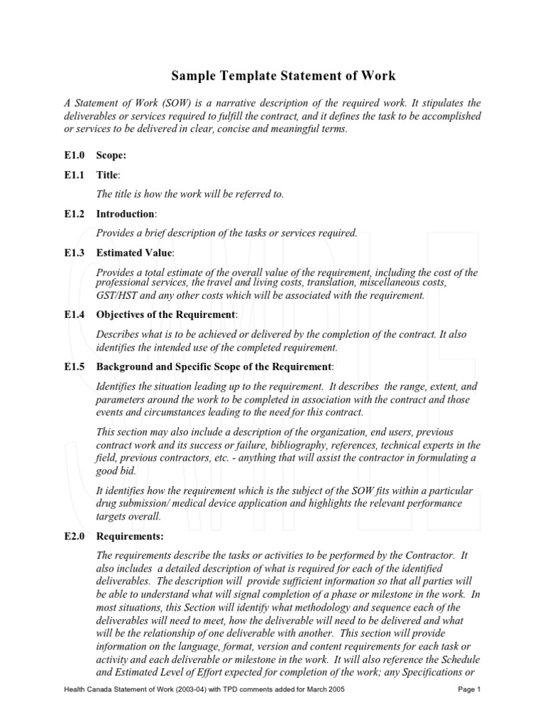 Sample Template Statement of Work: E1.0 Scope: E1.1 Title | PDF ...