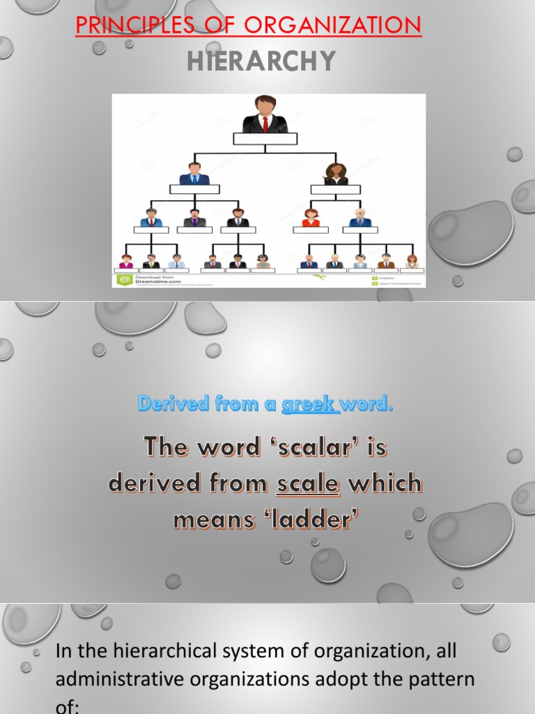 Principles of Organization | PDF | Hierarchy | Communication