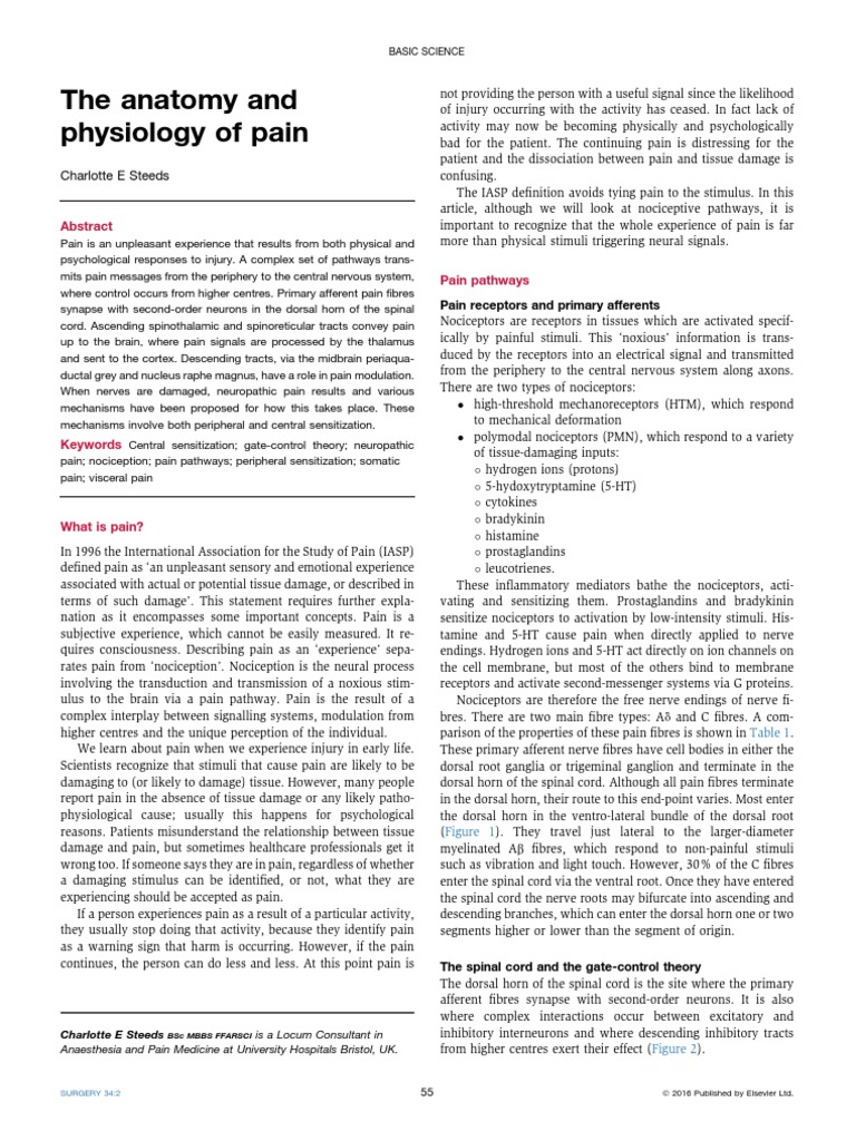 The Anatomy and Physiology of Pain: Basic Science | PDF | Pain ...