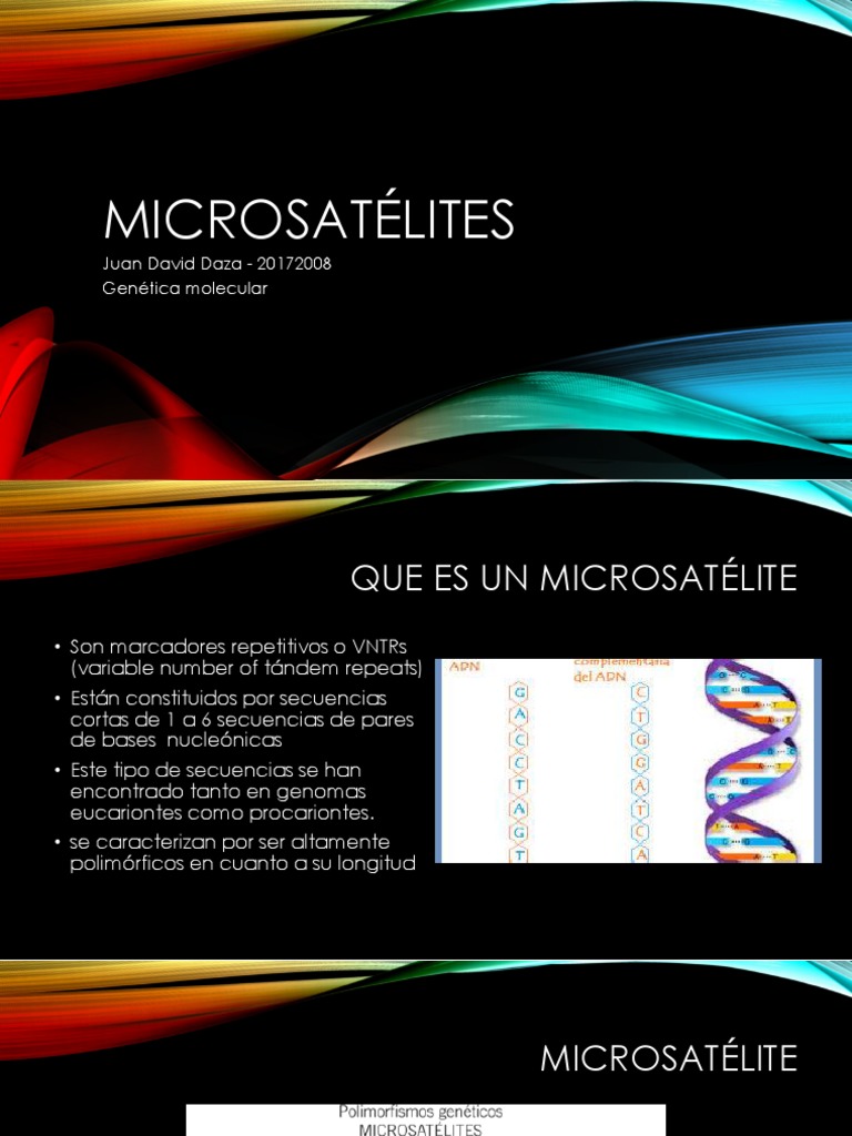 Microsatélites | PDF | Microsatélite | Ácidos nucleicos