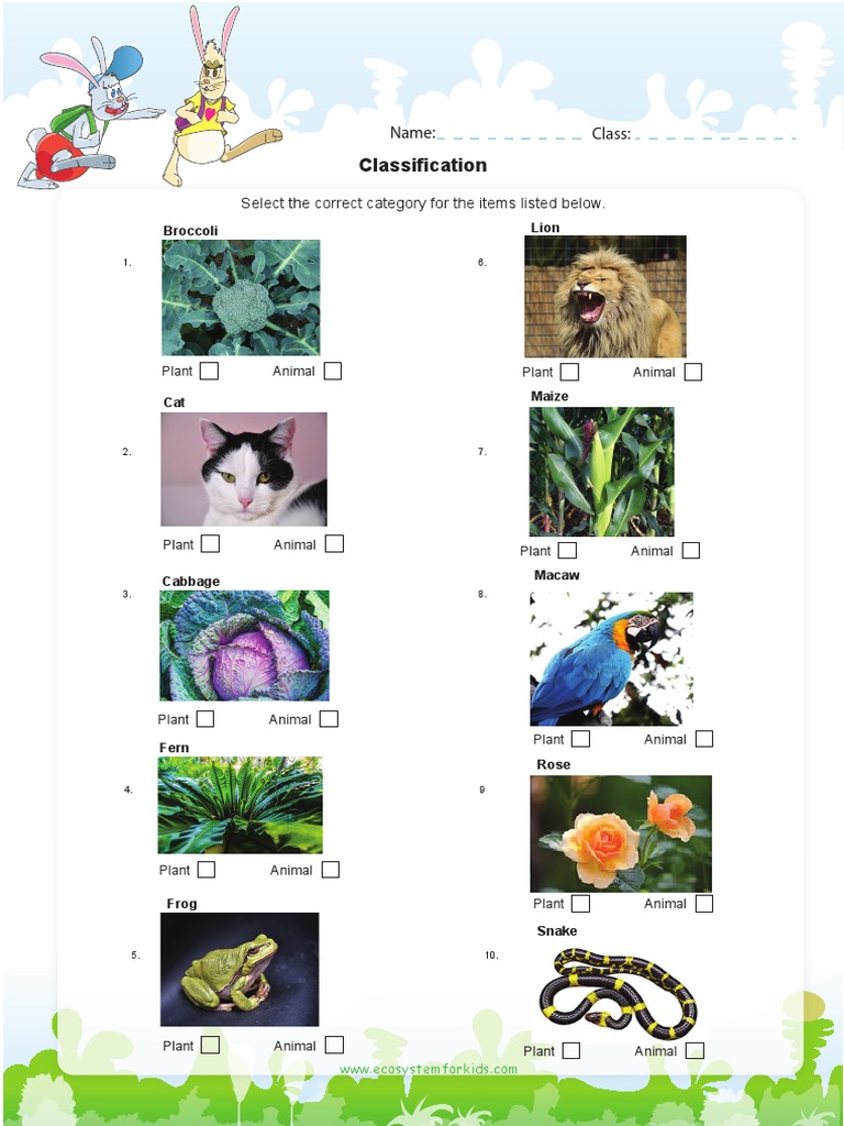 Classify As Plants or Animals | PDF