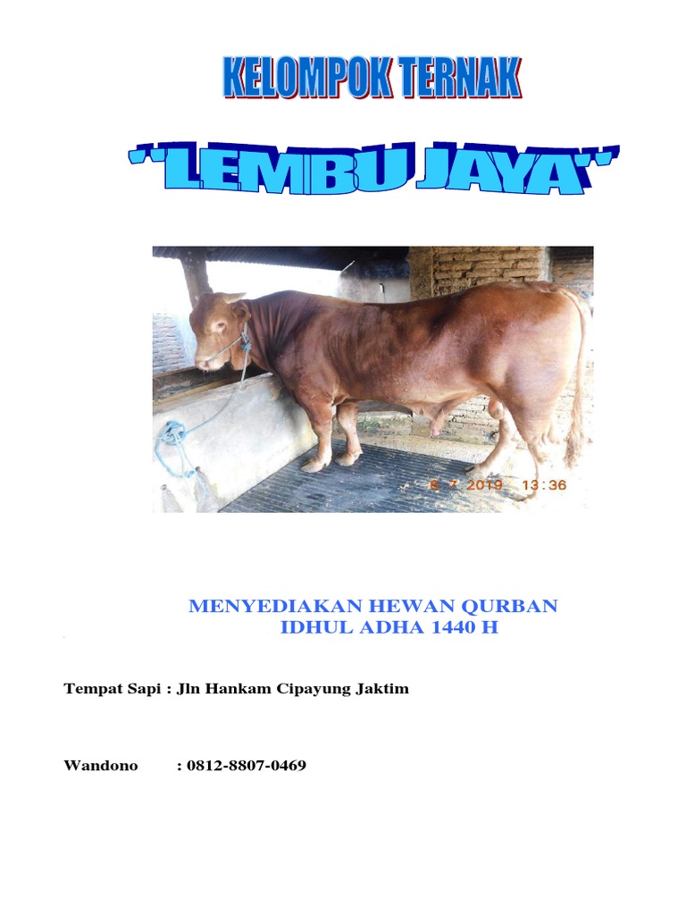 Proposal Sapi 2019-1. | PDF