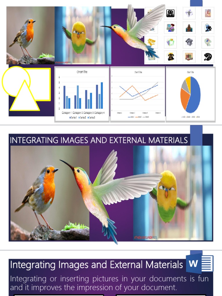 Integrating Images and External Materials | PDF | File Format | Paragraph