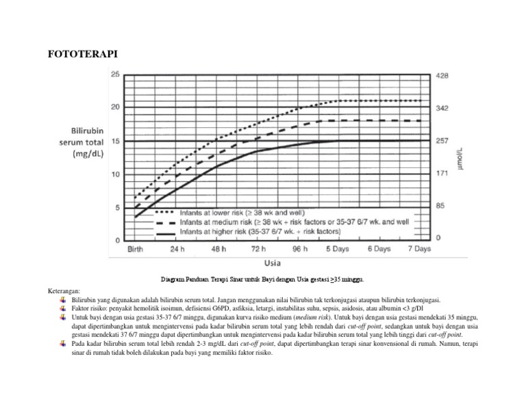Fototerapi Diagram | PDF