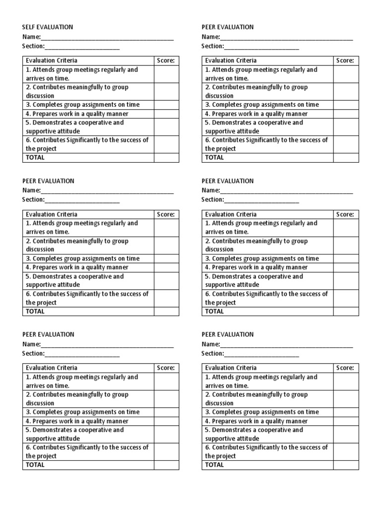 Peer Eval | PDF | Rubric (Academic) | Evaluation Methods