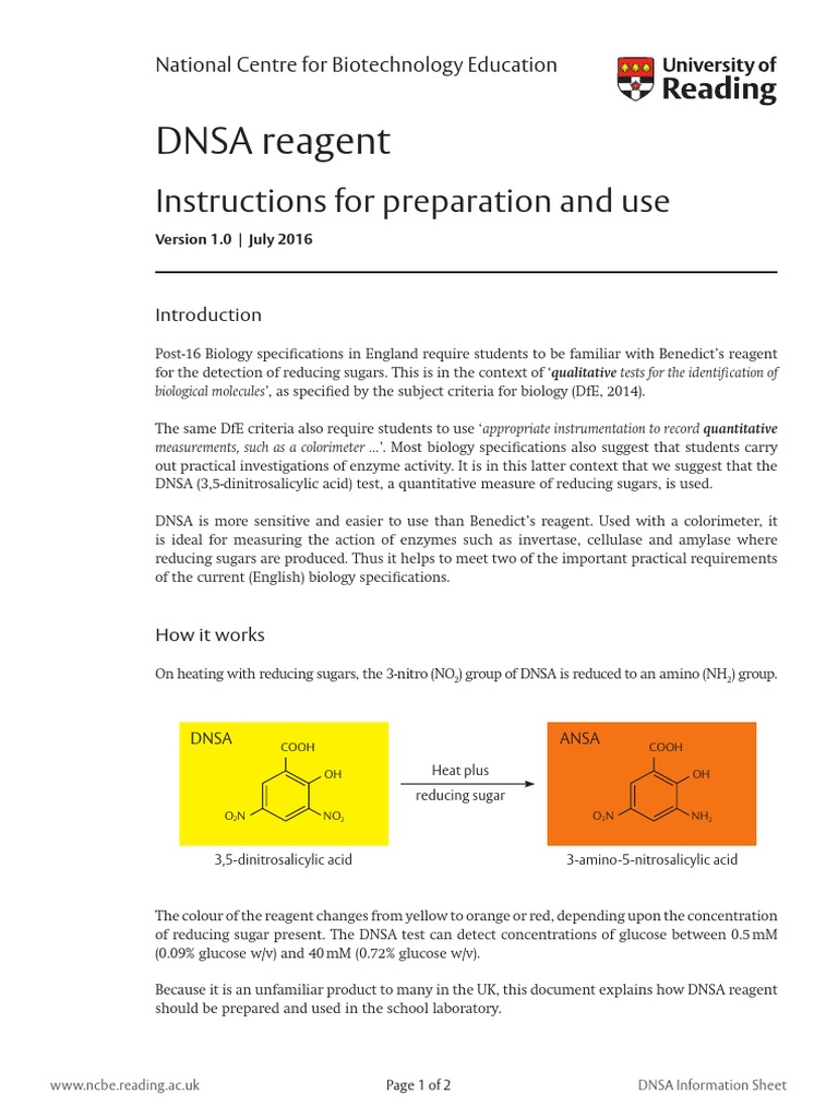 DNS A Instructions | PDF | Sodium Hydroxide | Chemistry