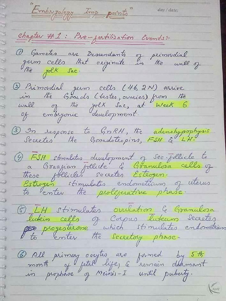 Embryology Notes | PDF