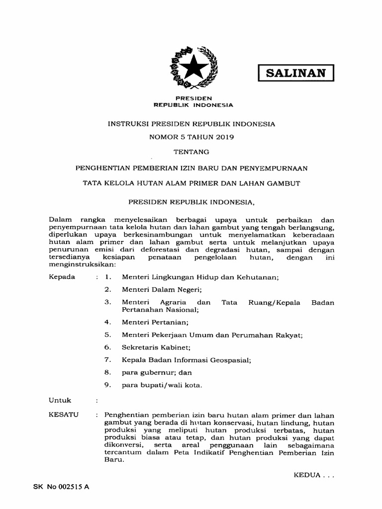 Penghentian Izin Baru Hutan dan Gambut | PDF