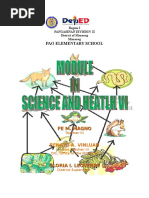 3rd Grade - Food Chain Worksheet | PDF