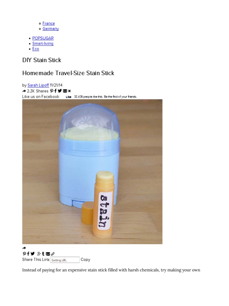DIY Stain Stick Homemade Travel-Size Stain Stick: France Germany ...