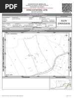 Formulario C-9 | PDF | Certificado de nacimiento