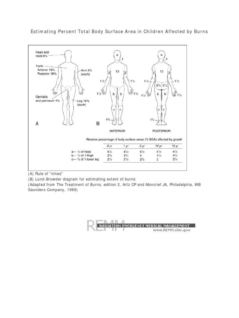 Estimating Percent Total Body Surface Area in Children Affected by ...