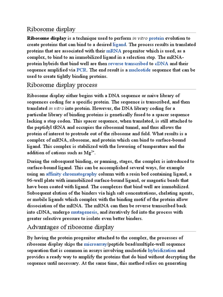 Ribosome Display Library | PDF | Biochemistry | Chemistry