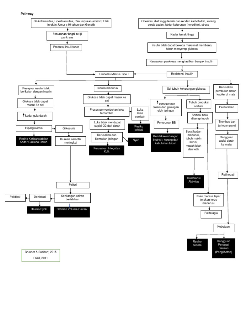Pathway DM Tipe II | PDF