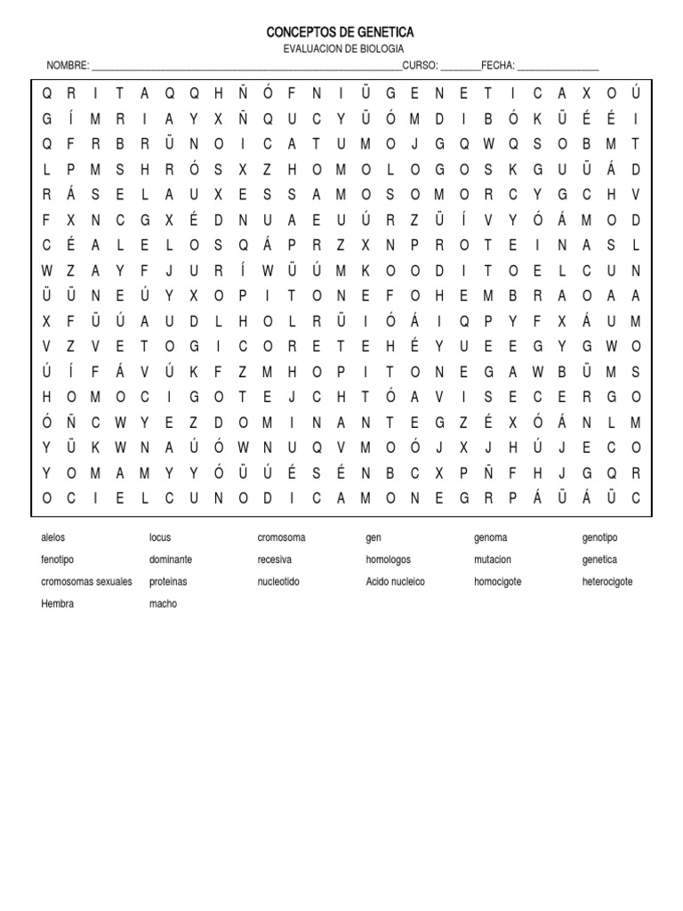 Conceptos de Genetica-Sopa de Letras | PDF | Evolución biológica ...