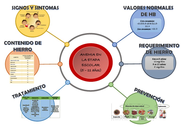 Infografia de Anemia | PDF