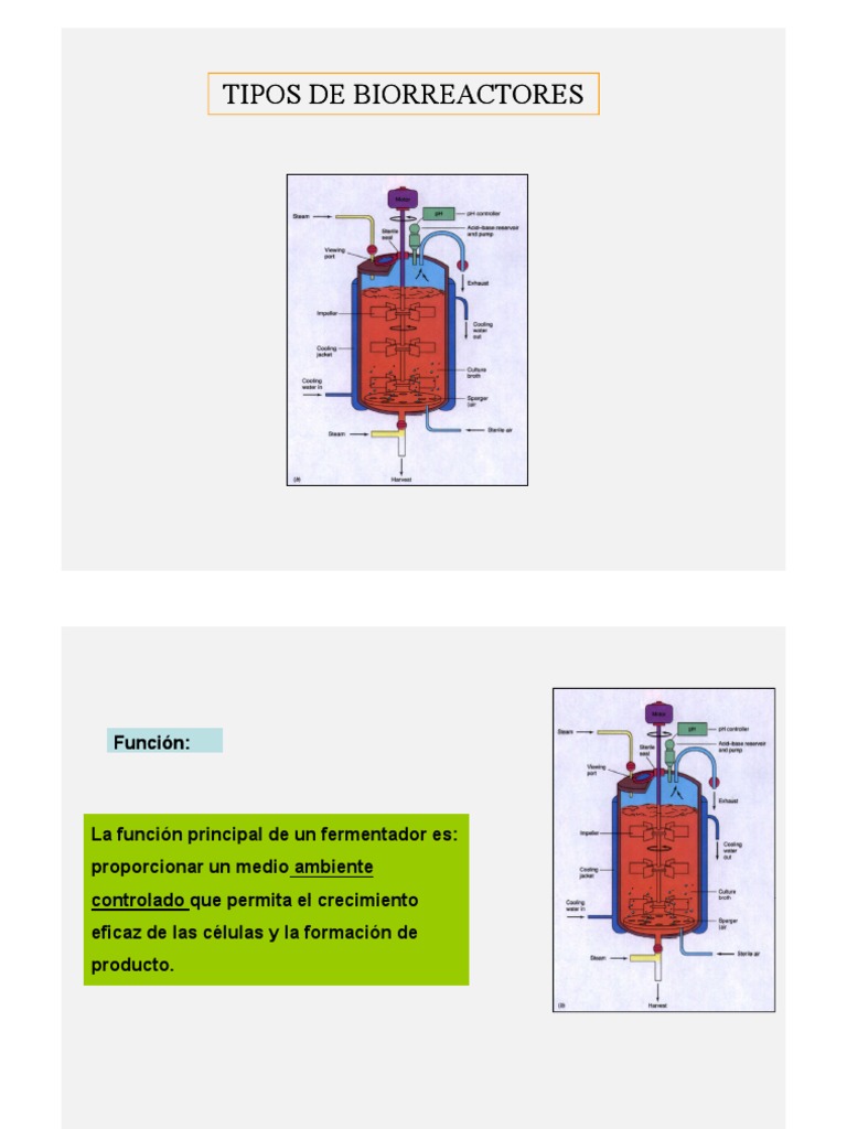Clase 10 Biorreactores 2018 | Biología | Naturaleza