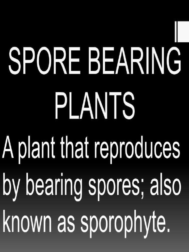 Spore Bearing Plants | PDF
