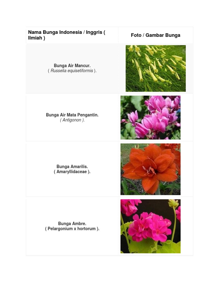 Nama Bunga Indonesia | PDF