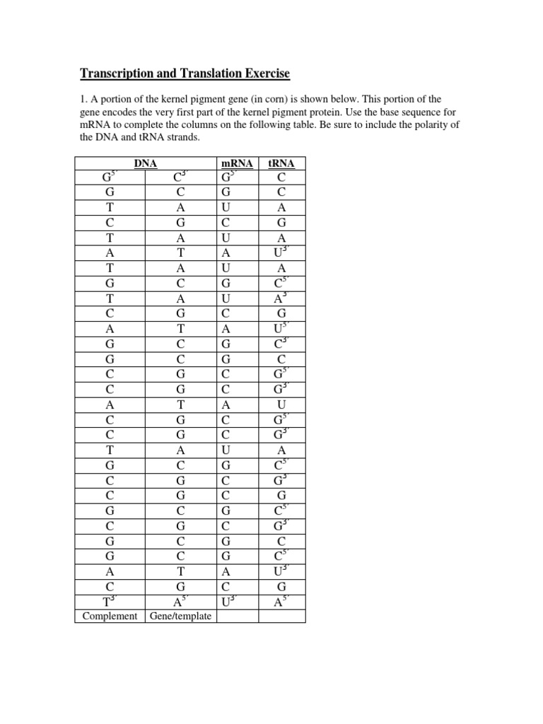 Transcription and Translation Exercise VER2 Solution | PDF | Nucleic ...