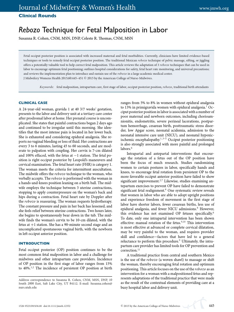 Rebozo Labour | Download Free PDF | Childbirth | Midwifery