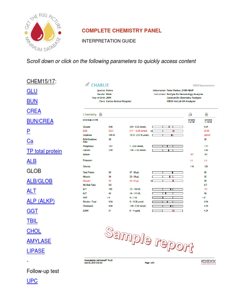 IDEXX CBC Chem Explained | PDF | Renal Function | Creatinine