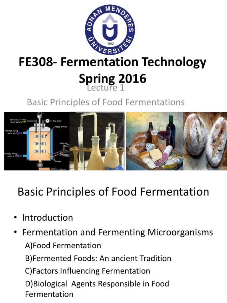 Lecture 1 Basic Principles of Food Fermentation 1487564123 | PDF ...
