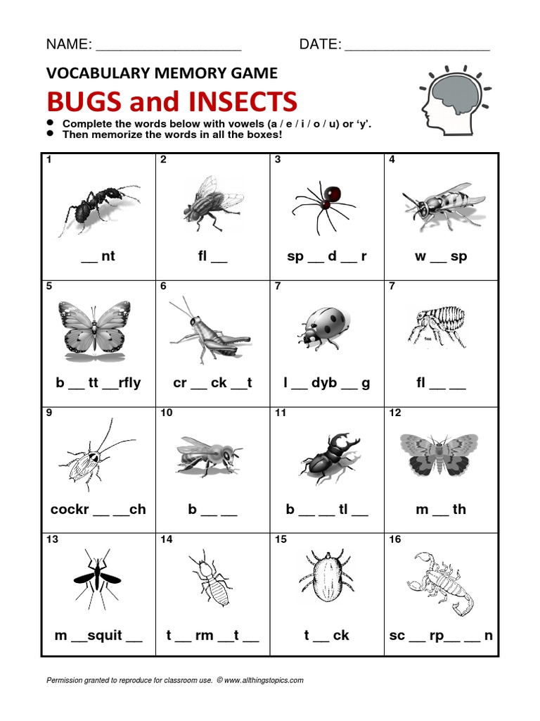 Memory Game Bugs Insects | PDF | Vocabulary | Learning