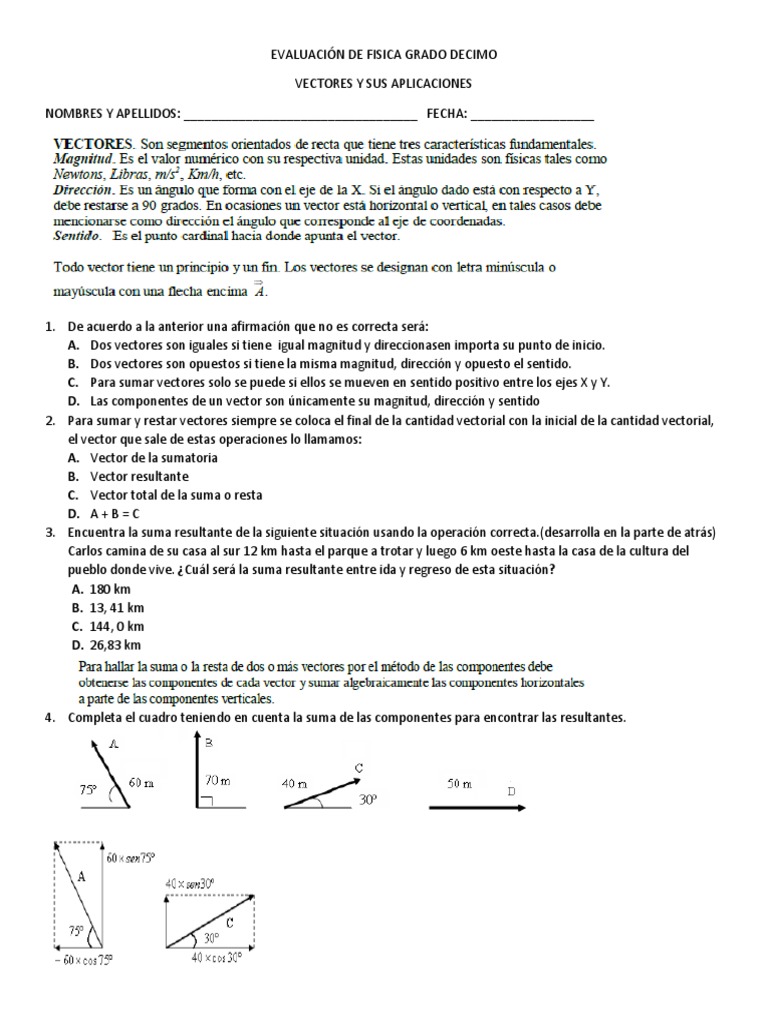 Evaluación de Fisica Grado Decimo | Vector Euclidiano | Física y matemáticas
