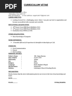 Matrimonial Resume CV | PDF | Lifestyle