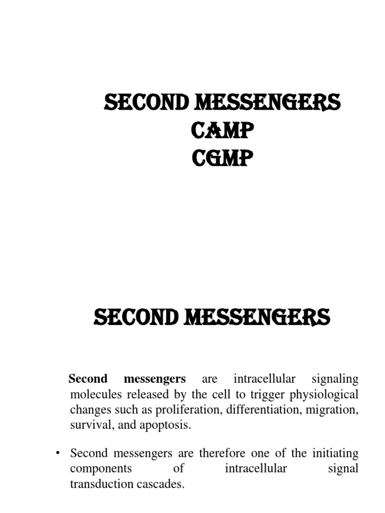 Second Messengers Camp CGMP | PDF | Cell Communication | Cellular Processes