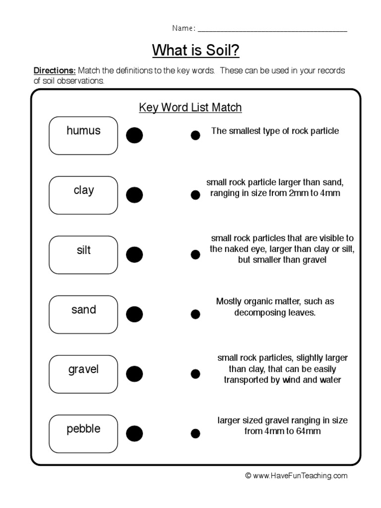 What Is Soil?: Key Word List Match Humus | PDF