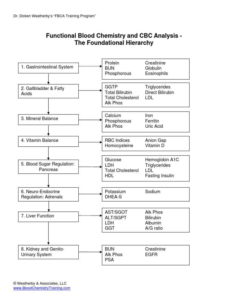 Functional Blood Chemistry and CBC Analysis - The Foundational ...