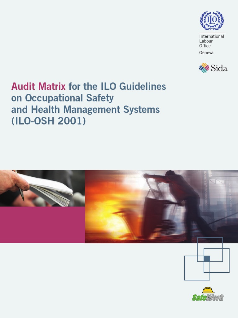 ILO Guidelines On Occupational Safety Systems PDF | PDF | Audit ...