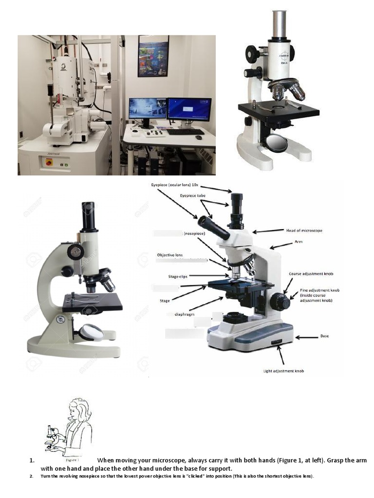 When Moving Your Microscope, Always Carry It With Both Hands (Figure 1 ...