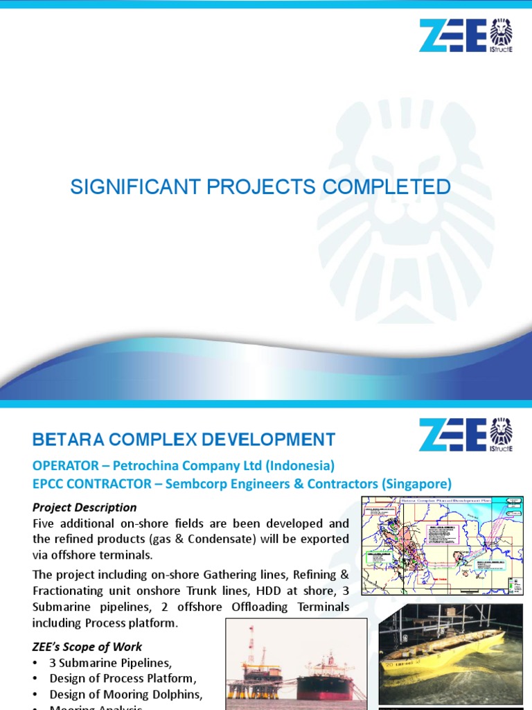 Zee Eng | PDF | Oil Tanker | Petroleum Industry