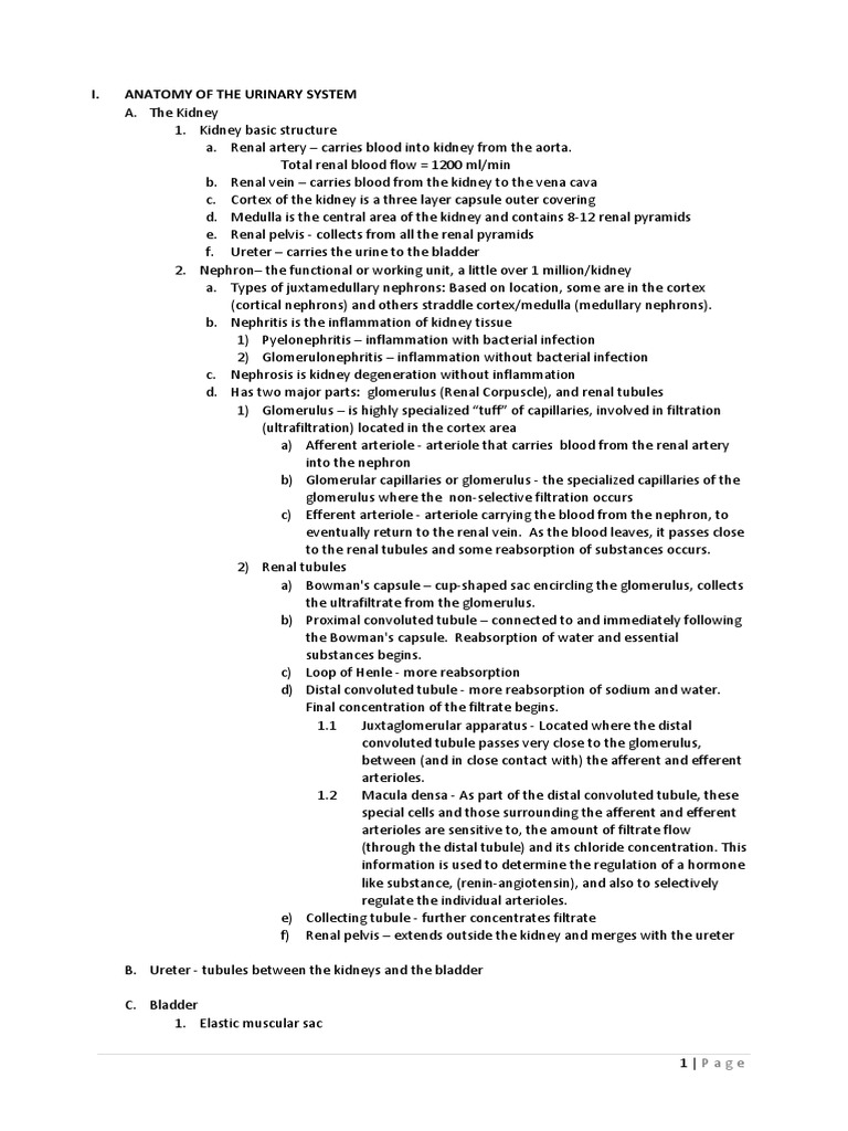 Review in AUBF | PDF | Kidney | Glucose