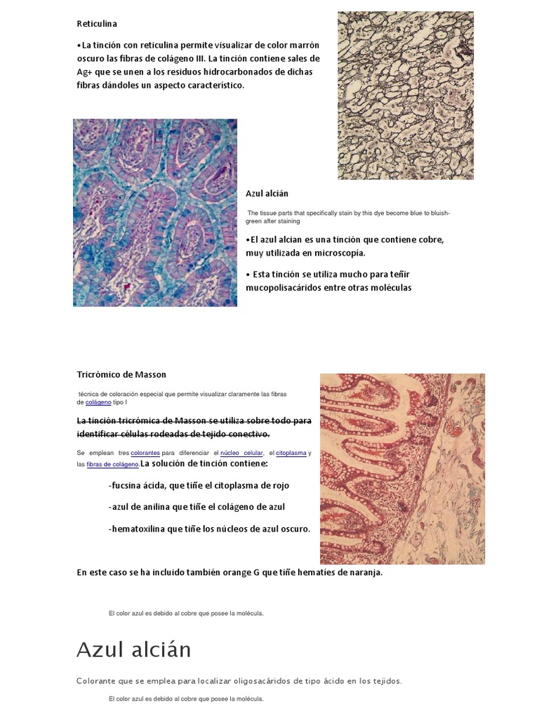 Guia Pract Bio | PDF