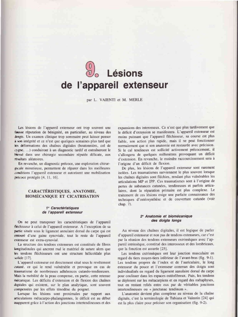 Lésions de l'appareil extenseur de la main | PDF | Main | Membres ...