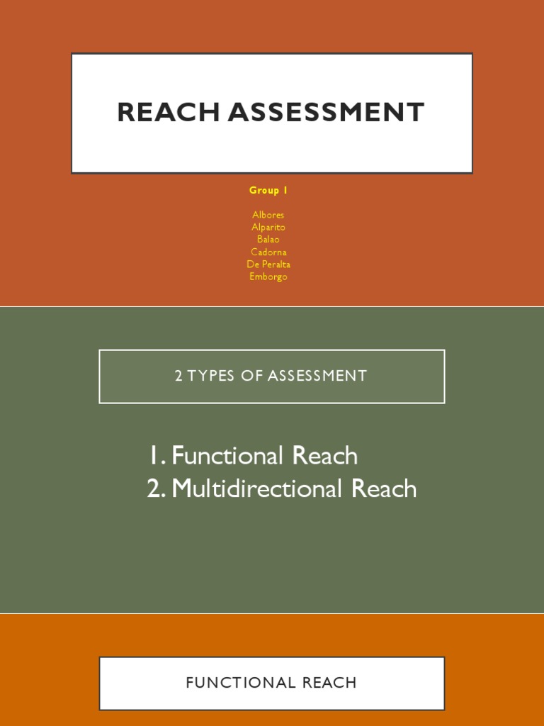 REACH ASSESSMENT METHODS | PDF | Medicine